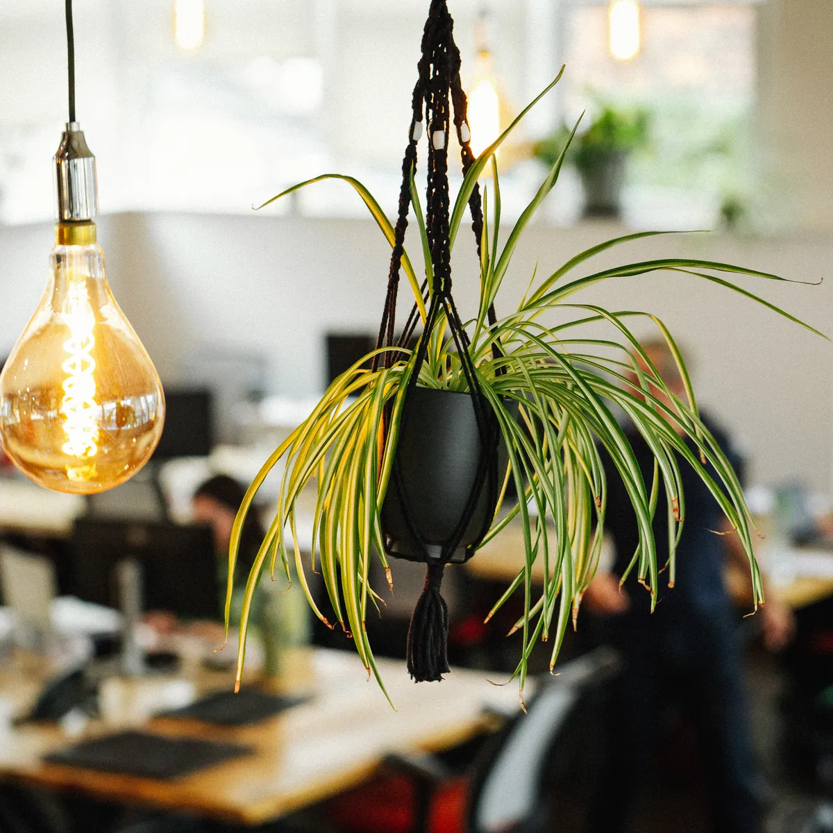 This is Digital | Digital Performance Solutions | Manchester